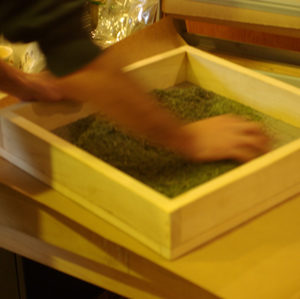 Stainless Steel and Cedar Seed Cleaning Screens, Set of 8 | Strictly ...